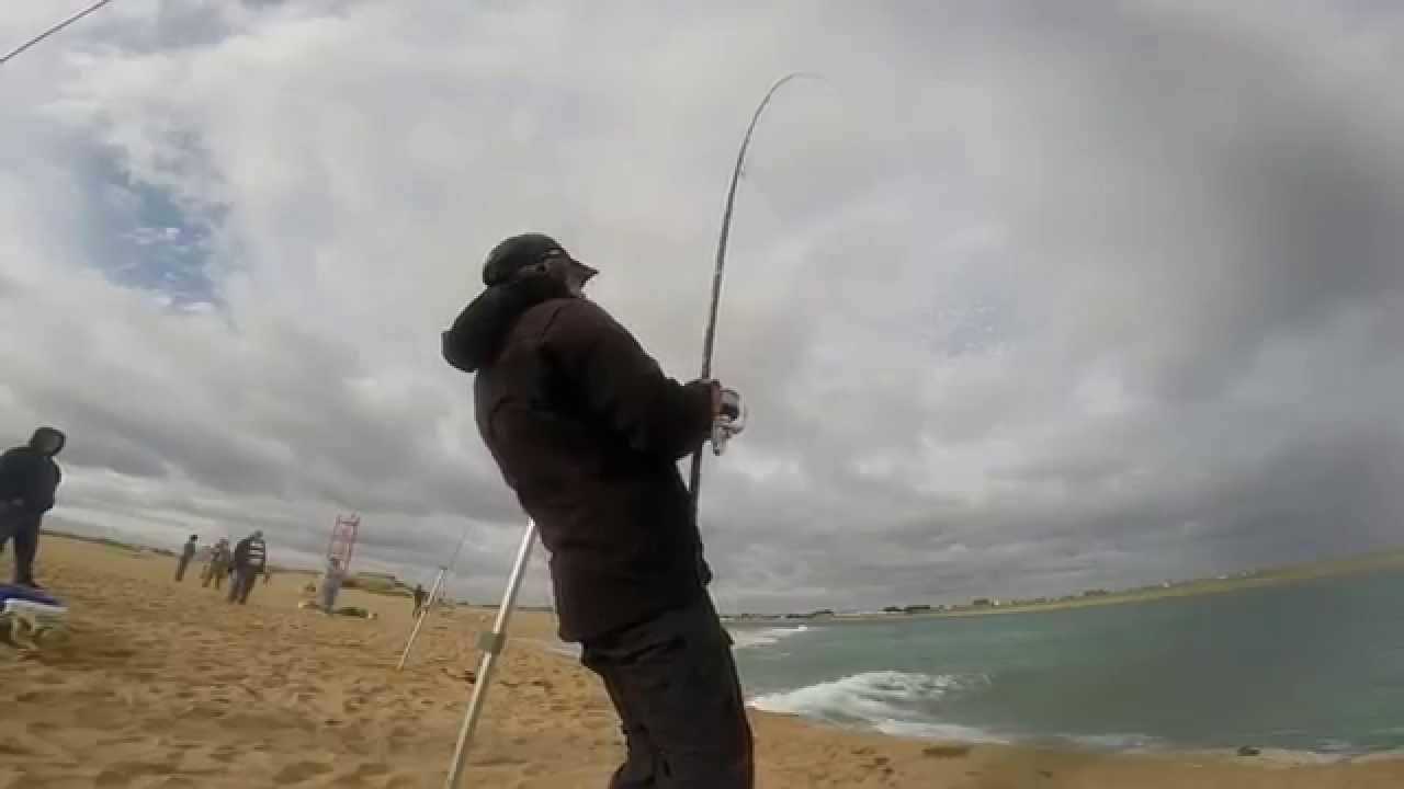 Pêche de la daurade royale en Surfcasting#31082015 - YouTube