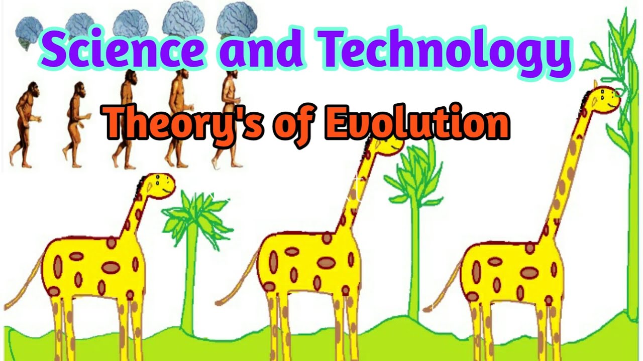 Evolution|evolution theory|speciation|evolution of human|science and ...