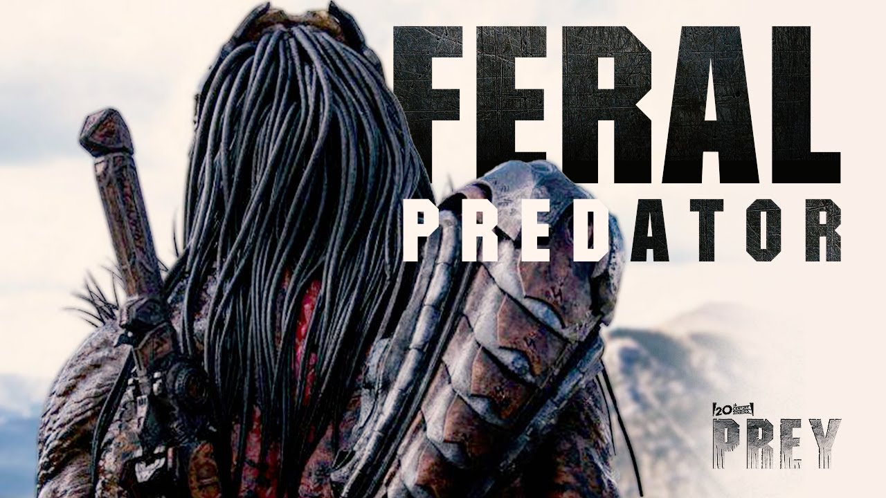 Feral predator Prey 2022 - YouTube