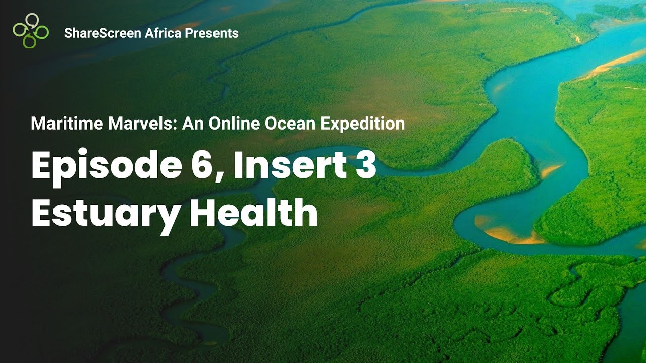 Estuary Exploration: Estuary Health - YouTube