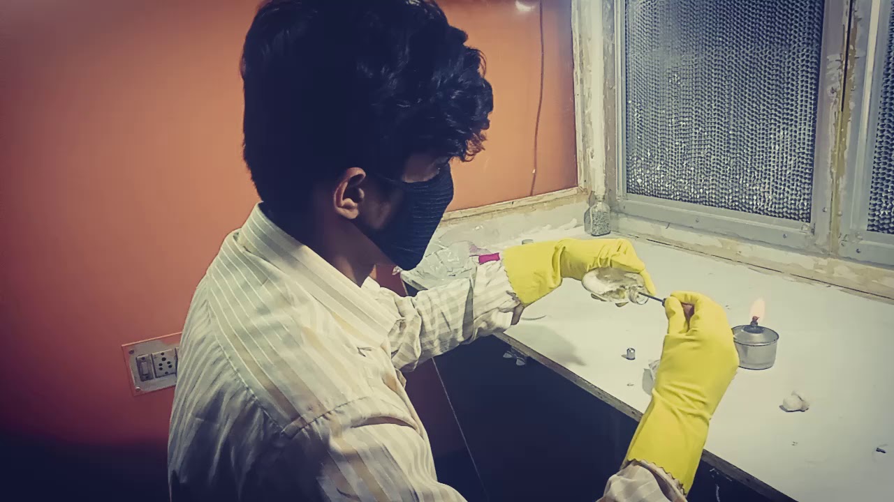 Mushroom Spawn Lab Set-Up And Mushroom cultivation - YouTube