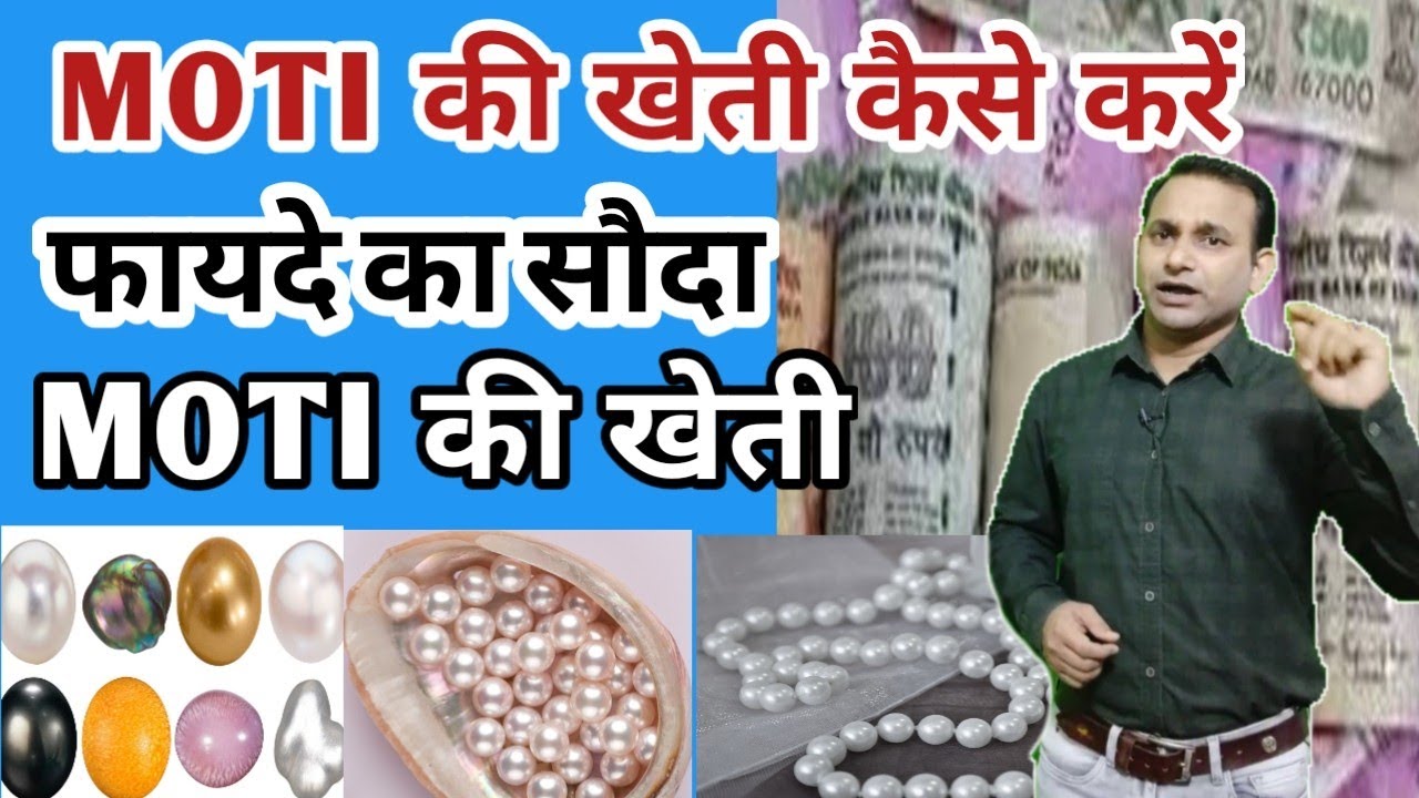 Moti Ki Kheti Kaise Karen | Moti ka Business Kaise Kare | Pearls ...