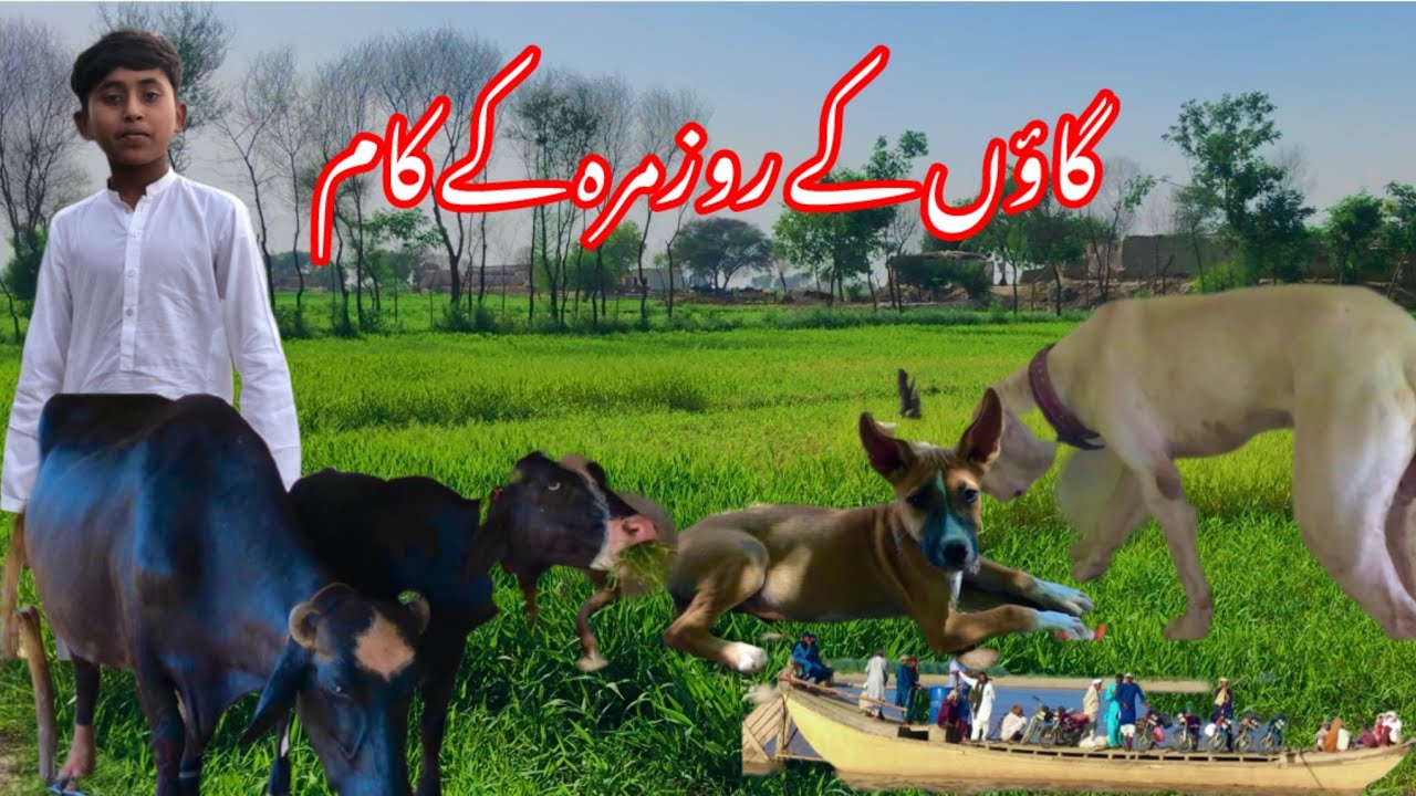 Village life in Pakistan 🇵🇰 /beautiful village life Punjab/village work ...