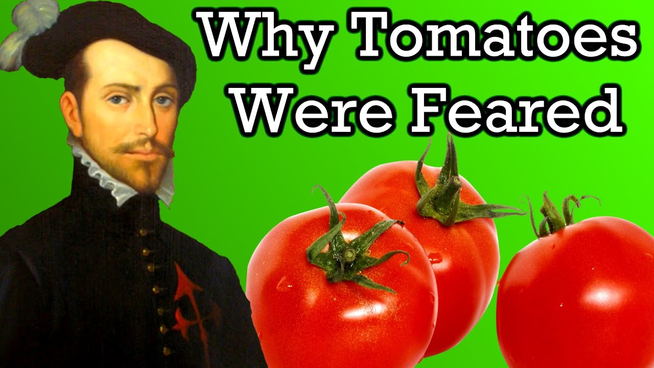 Did the Native Americans eat tomatoes? - ACBEF Leisure Lab Did the Native Americans eat tomatoes? - ACBEF Leisure Lab