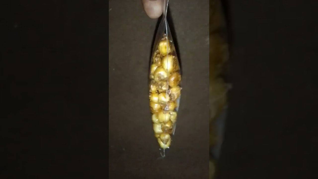 Sasi mhandire,soft,crispy and fresh. - YouTube