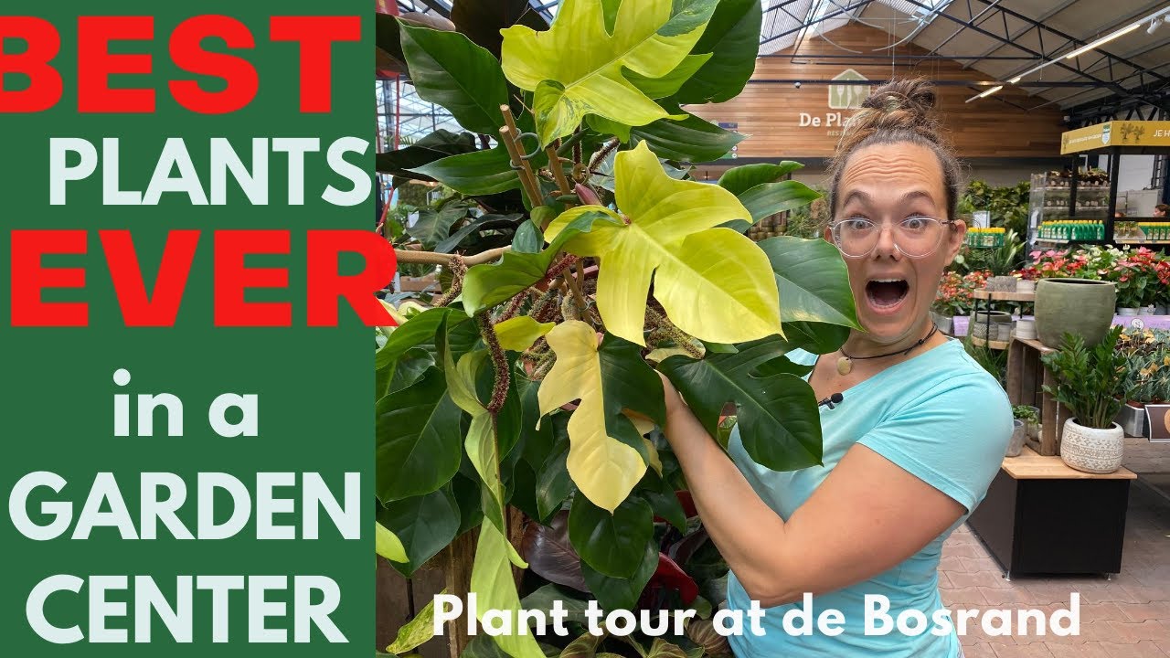 Plant Shopping Tour - Best plants EVER in a garden center! de Bosrand ...