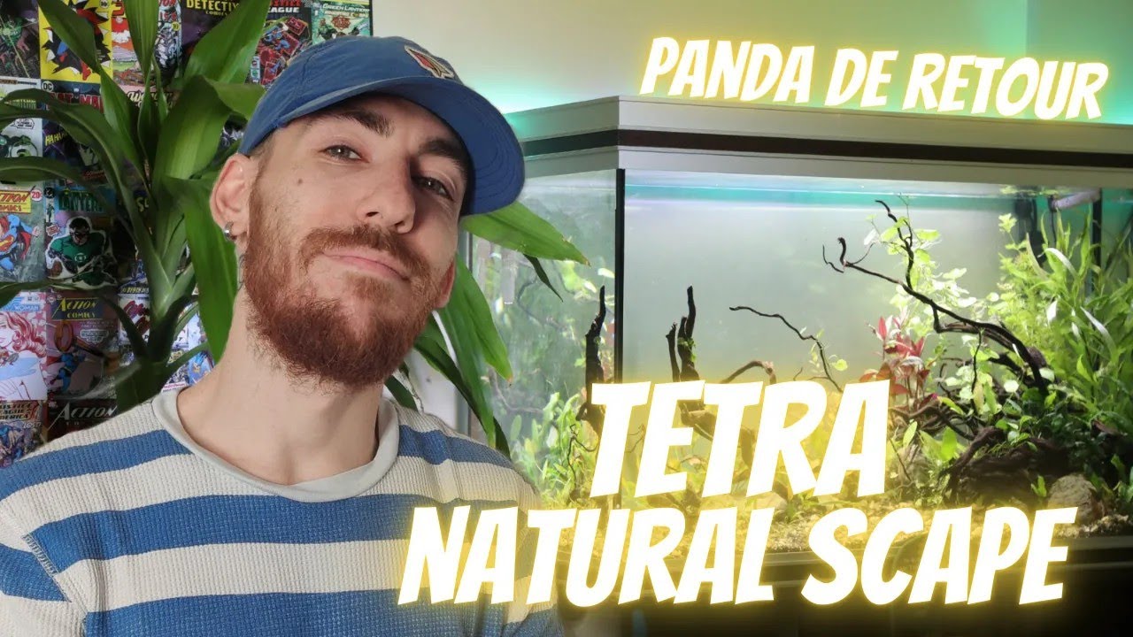 Tetra Natural Scape - Mon 200L pas du tout Biotope - YouTube