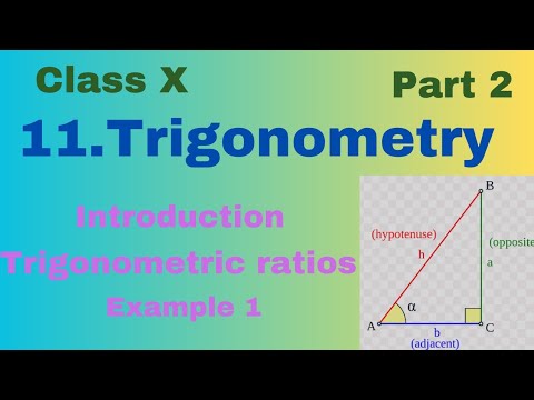 class 10 trigonometry # trigonometric ratios# example questions - YouTube