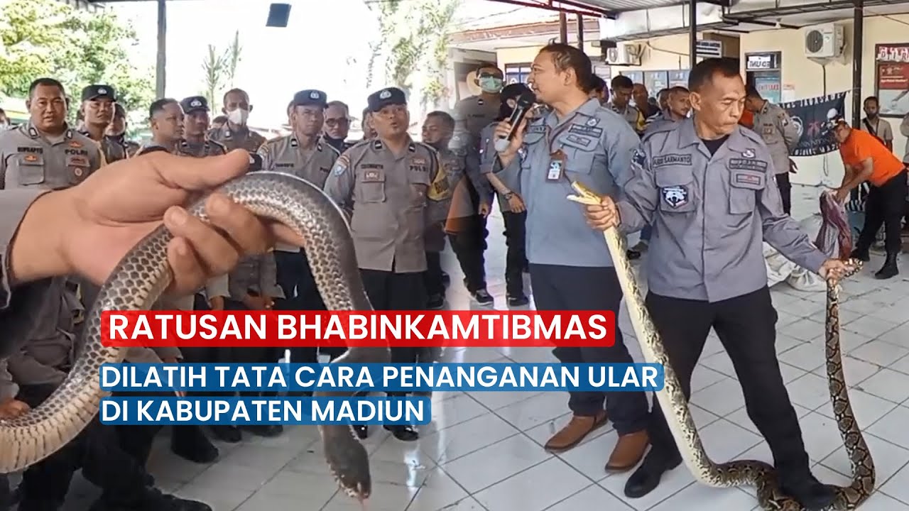 Ratusan Bhabinkamtibmas di Kabupaten Madiun Dilatih Tata Cara ...