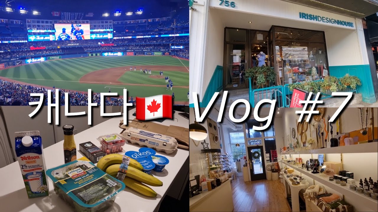 Vlog 캐나다 Vlog 토론토 브이로그 7 로저스센터 가서 블루제이스 경기보기 책상 소개 캐나다 동전 소개