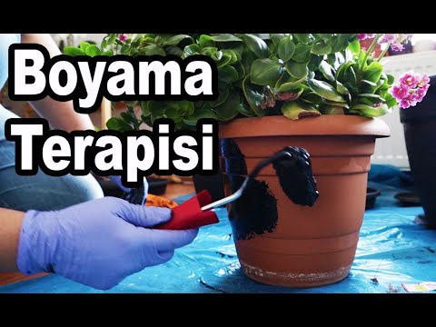 Boyama Terapisi // Evdeki Tüm Saksıları Boyadım!! // Dekorasyon Fikirleri