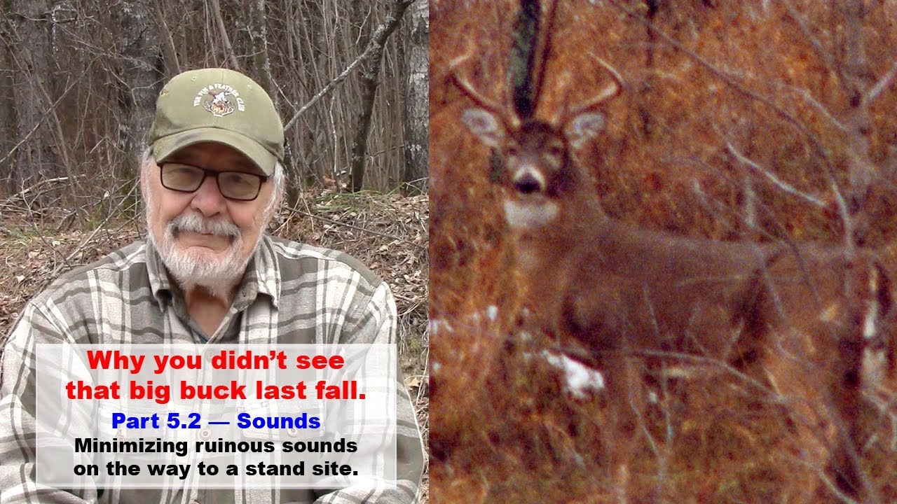 Why you didn't see that big buck last fall — Part 5.2 Sounds ...