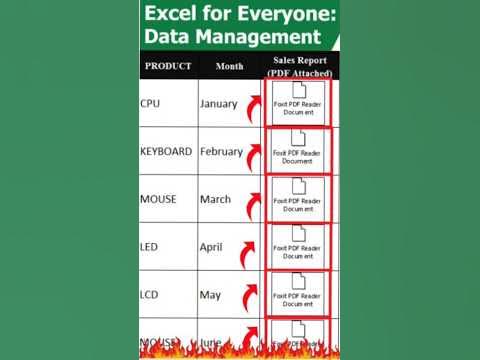 Data Management in Excel || Excel Data Management || Excel Unique ...
