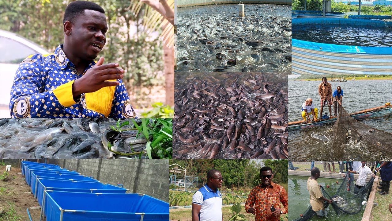 I BROUGHT MOBILE FISH FARMING TO GHANA - ELDER SHADRACK AMPONSAH - YouTube