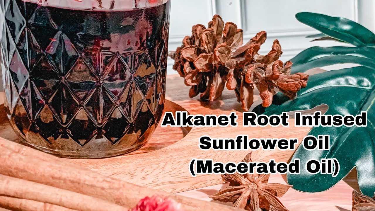 Alkanet Root Infused Sunflower Oil (Macerated Oil) - YouTube