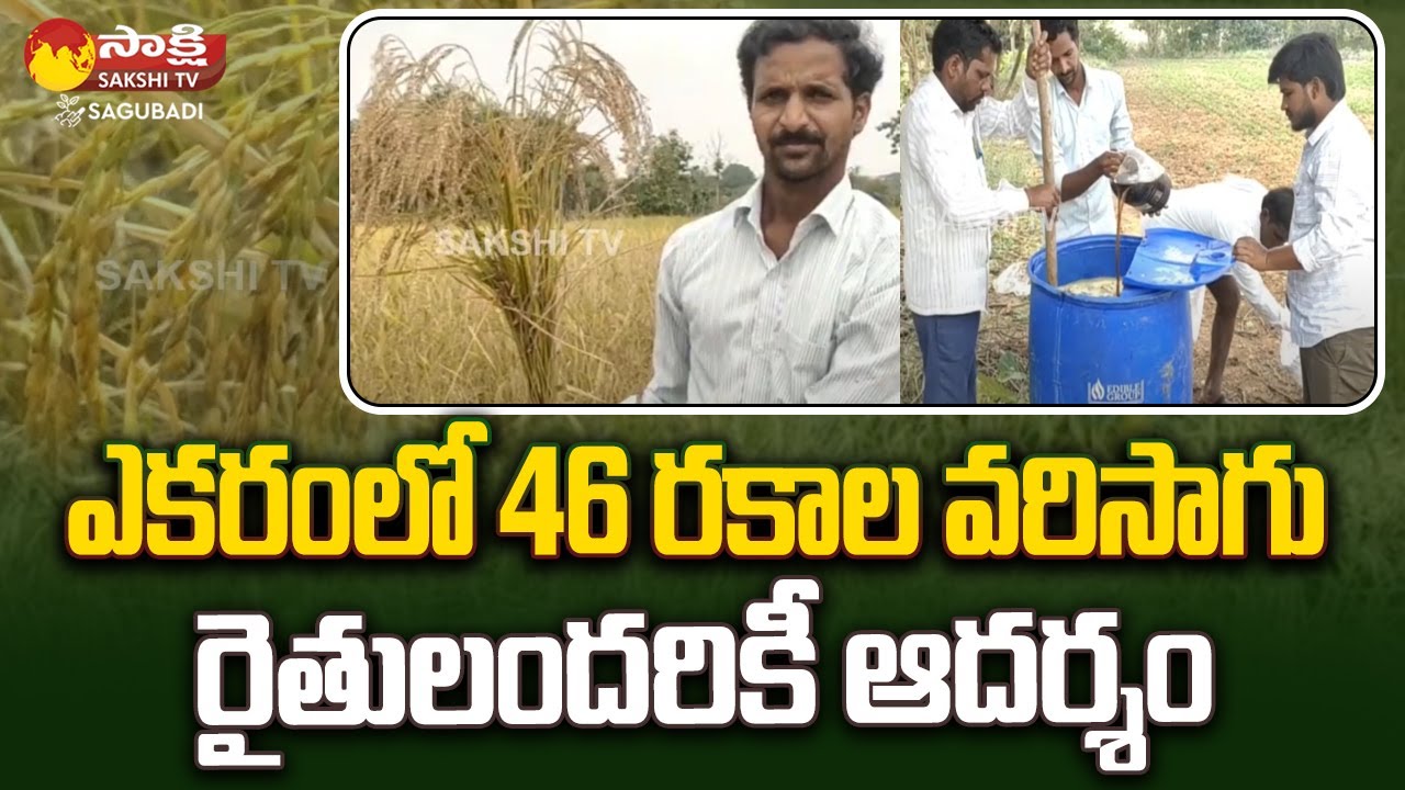 46 Varieties Of Vari in One Acre | Farmer Success Story in Paddy ...