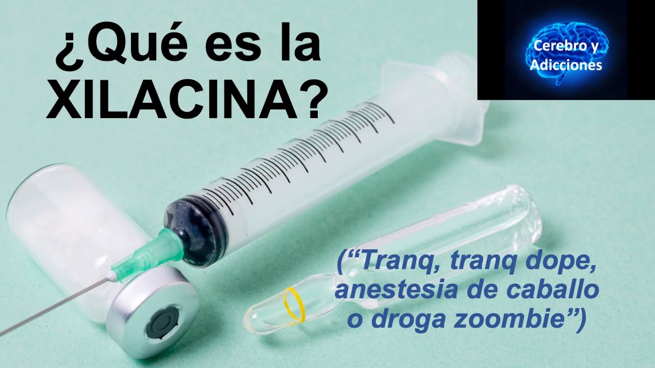 ¿Qué es la Xilacina? "Tranq, tranq dope, anestesia de caballo, droga ...