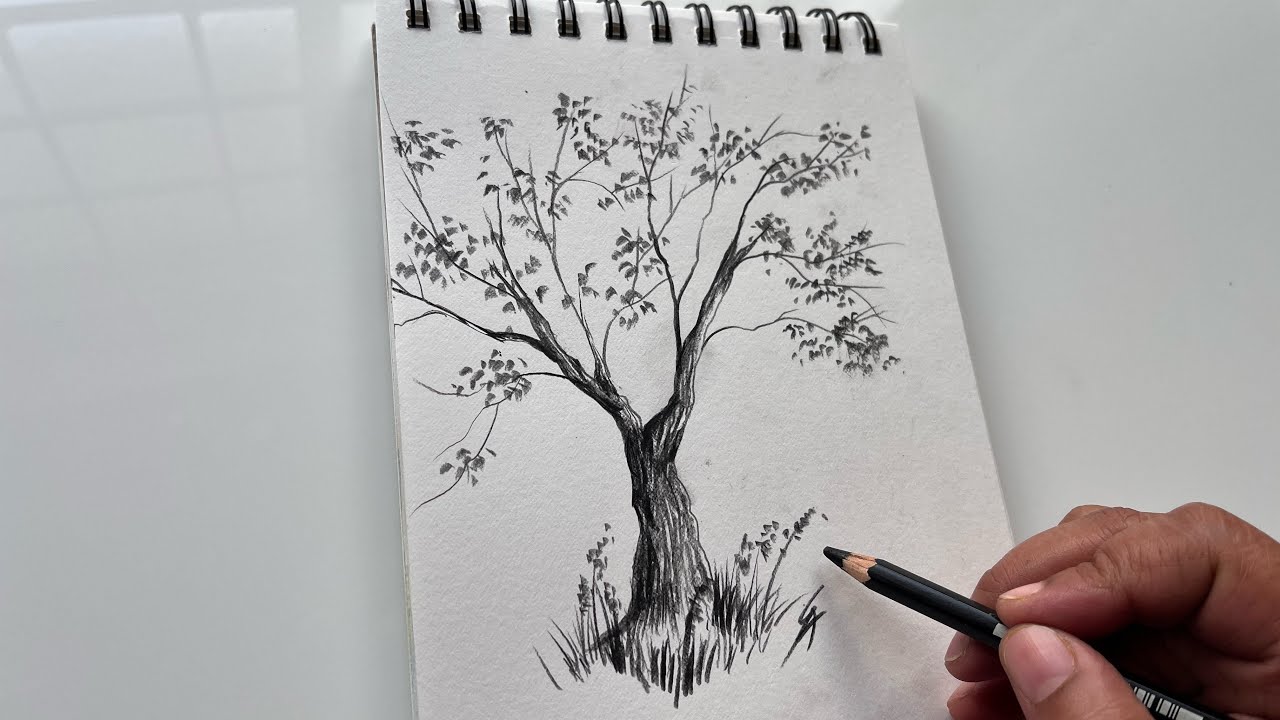 How to Draw A Beautiful Tree - Easy Step-by-Step Follow-Along Process ...