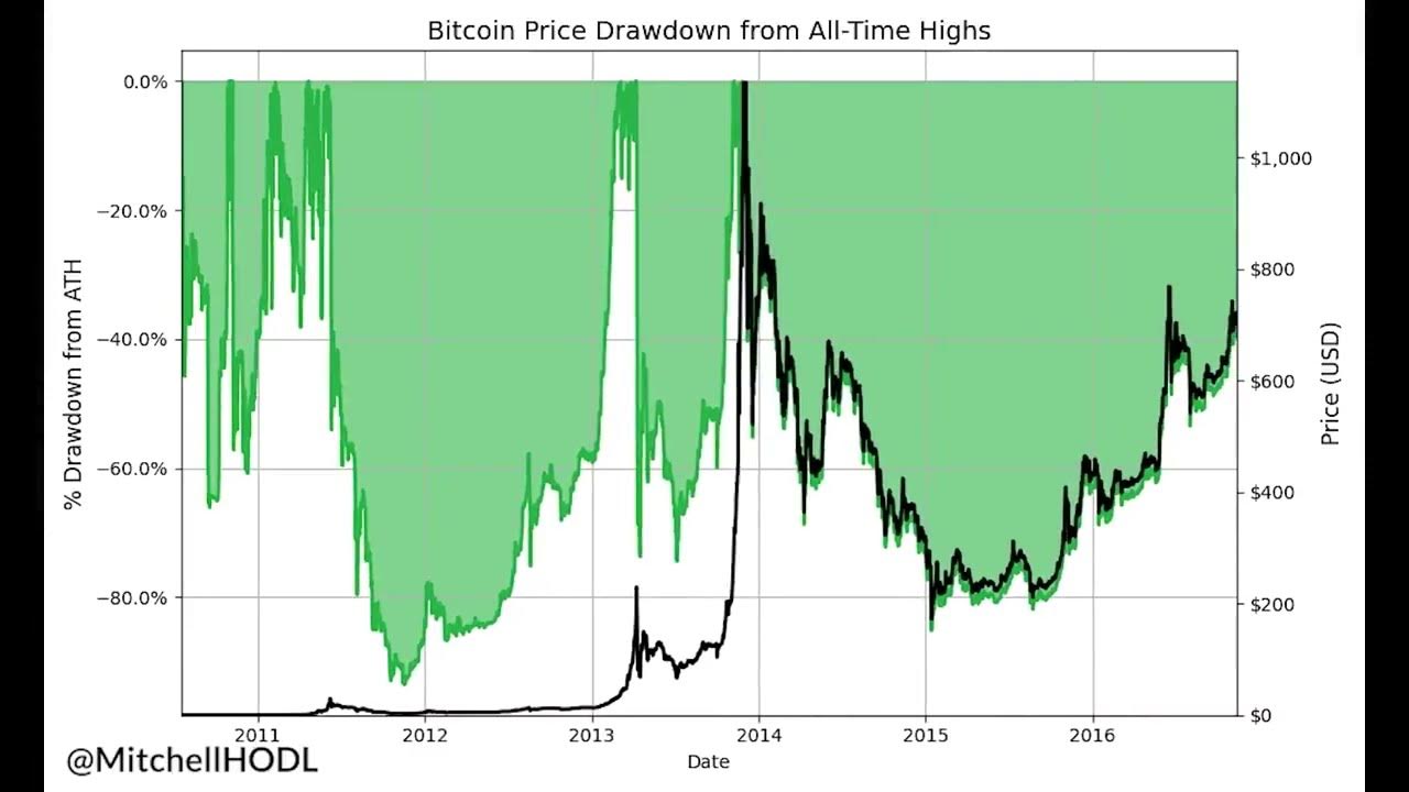Bitcoin's volatility is a feature, not a bug.Massive bull markets spawn new waves of adoption ...