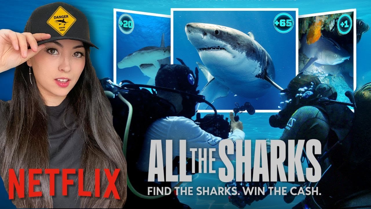 The TRUTH About ALL THE SHARKS - Netflix 2025 - YouTube