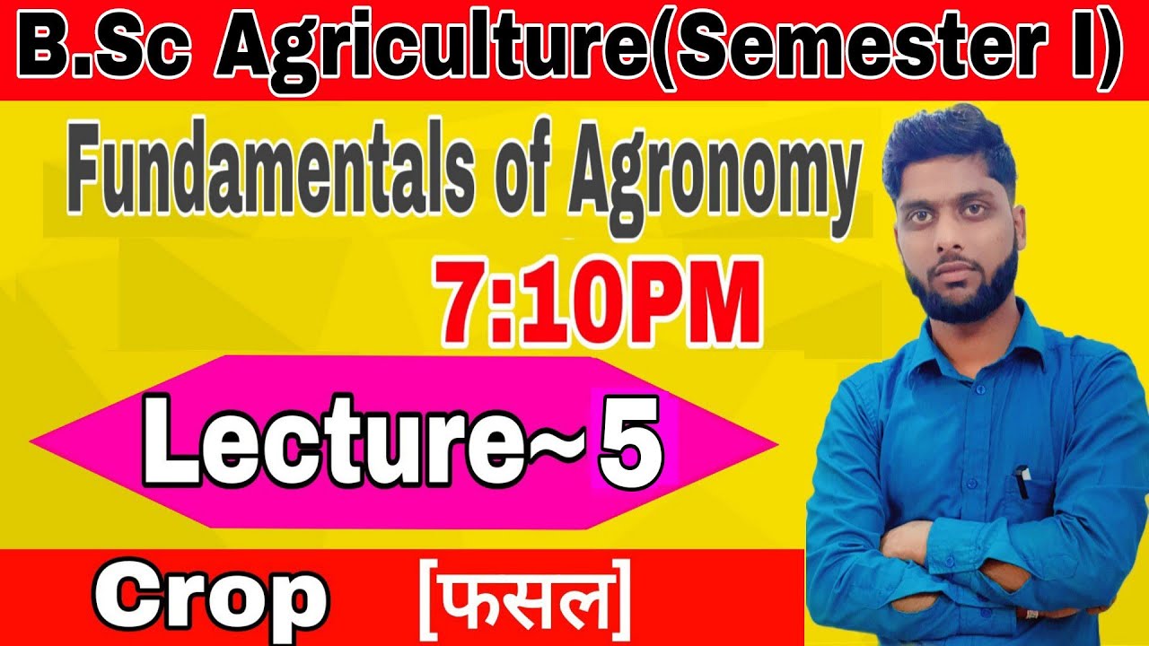 Classification of Crops in Agronomy | Importance of Crops | Bsc ...