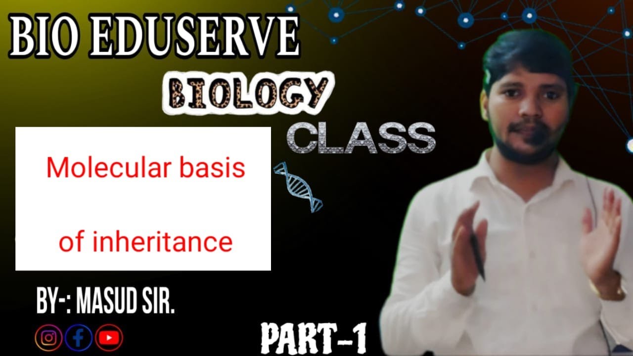 Molecular Basis of Inheritance......... - YouTube