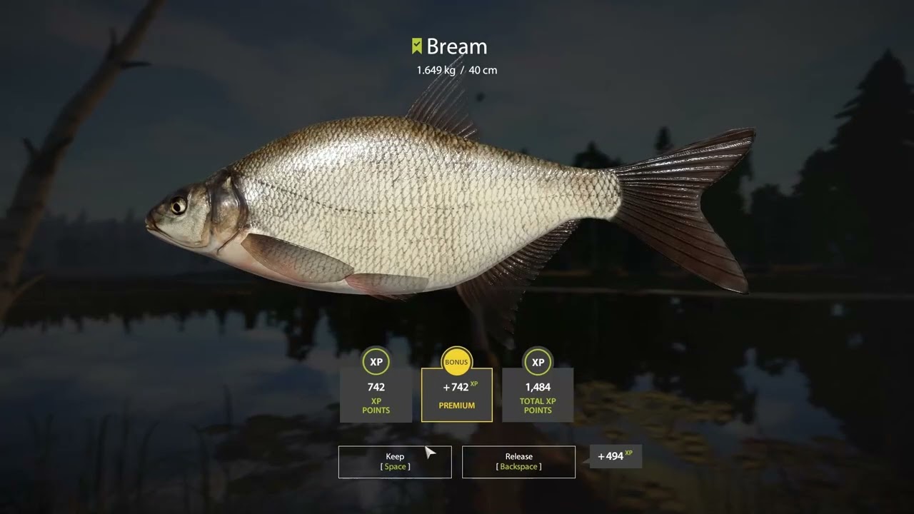BREAM SPOT OLD BURG LAKE Russian Fishing 4 RF4 - YouTube