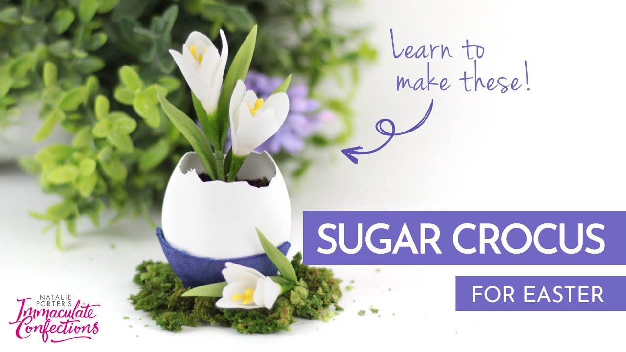 Learn to make Sugar Crocuses! - YouTube