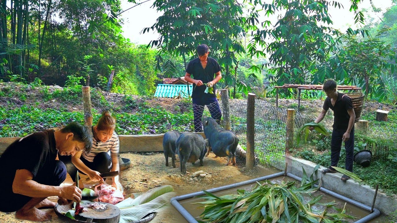 reak corn for pigs, Corn leaves for fish. Girlfriend buys meat to ...