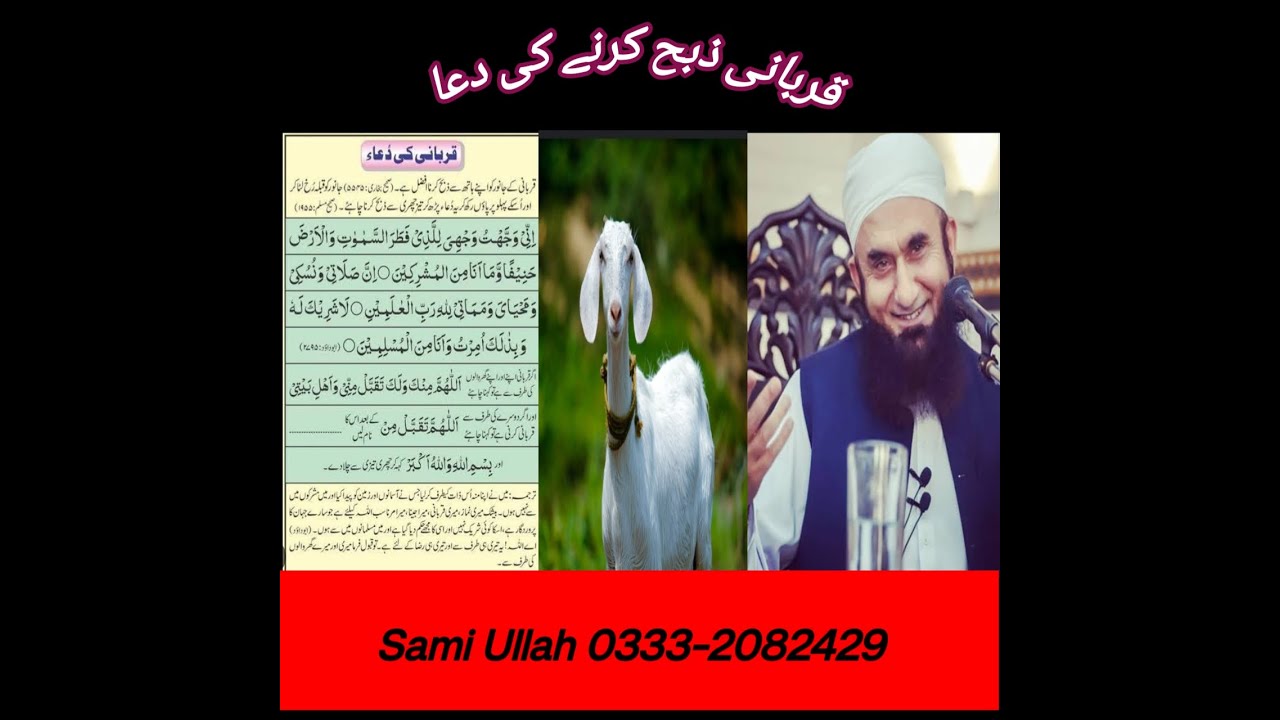 bakra zibah karne ki dua | best dua for arafat day | - YouTube