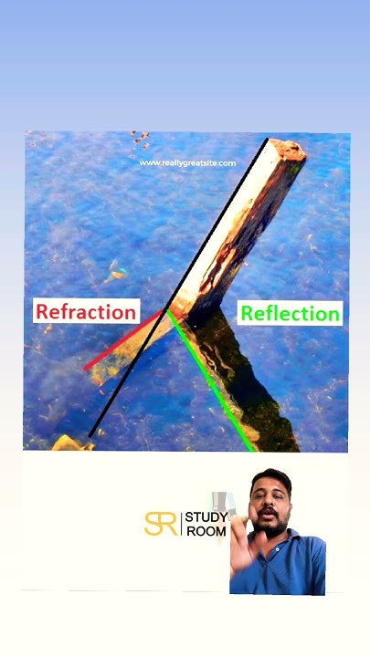 Difference between Reflection & Refraction. - YouTube
