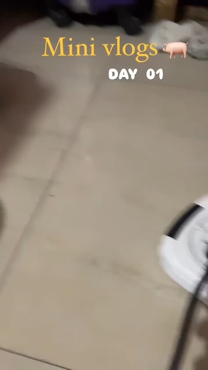 My 1st Mini vlog/ Day-01 🐷#Vlog.#Vlogger.#DailyVlog.#Vlogging.#LifeVlog.#VlogLife. #foodvlog # ...
