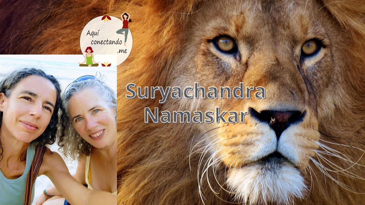 yoga con Hakima Suryachandra Namaskar - YouTube