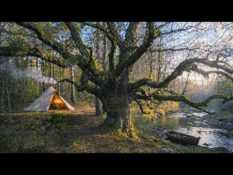 Solo Camping & Fishing on a Wild River. Hot Tent