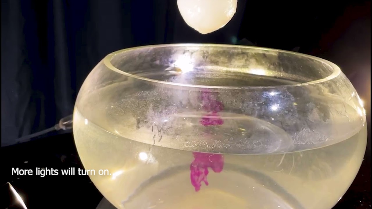 Video of Acaleph - YouTube