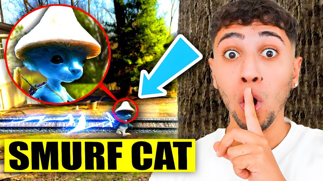 GERÇEK HAYATTA SMURF CAT BULDUM !! (BENİMLE KONUŞTU) - YouTube