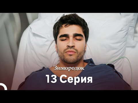 Зимородок 13 Cерия (Русский дубляж)(Длинная Bерсия)