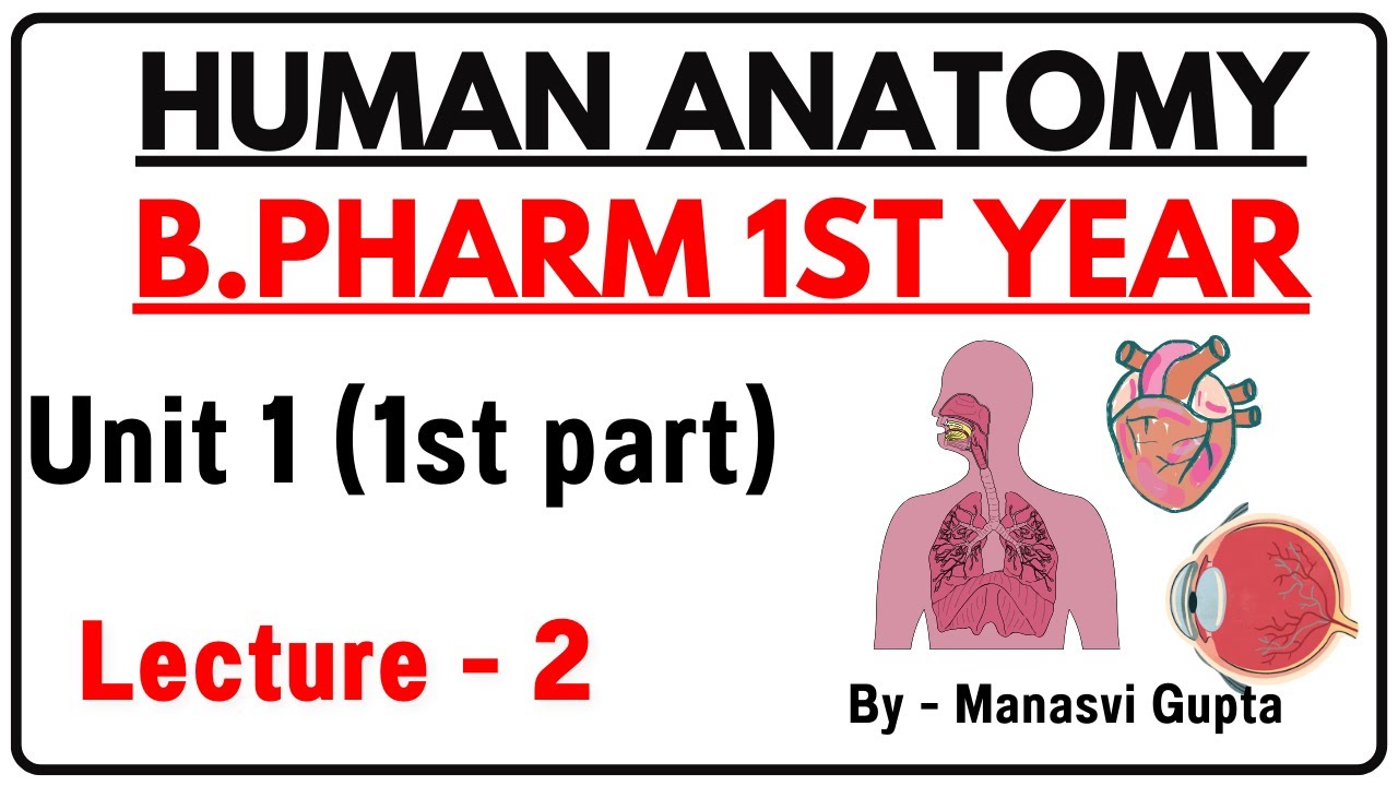 Human anatomy and physiology unit 1 (1st part) | B pharm 1st yr semester 1 | Professor of ...