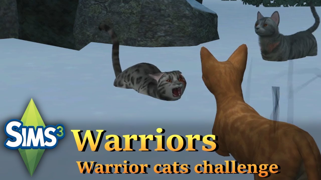 Fighting Within the Clan!🐈⭐Sims 3: Warrior cats Legacy #25 - YouTube