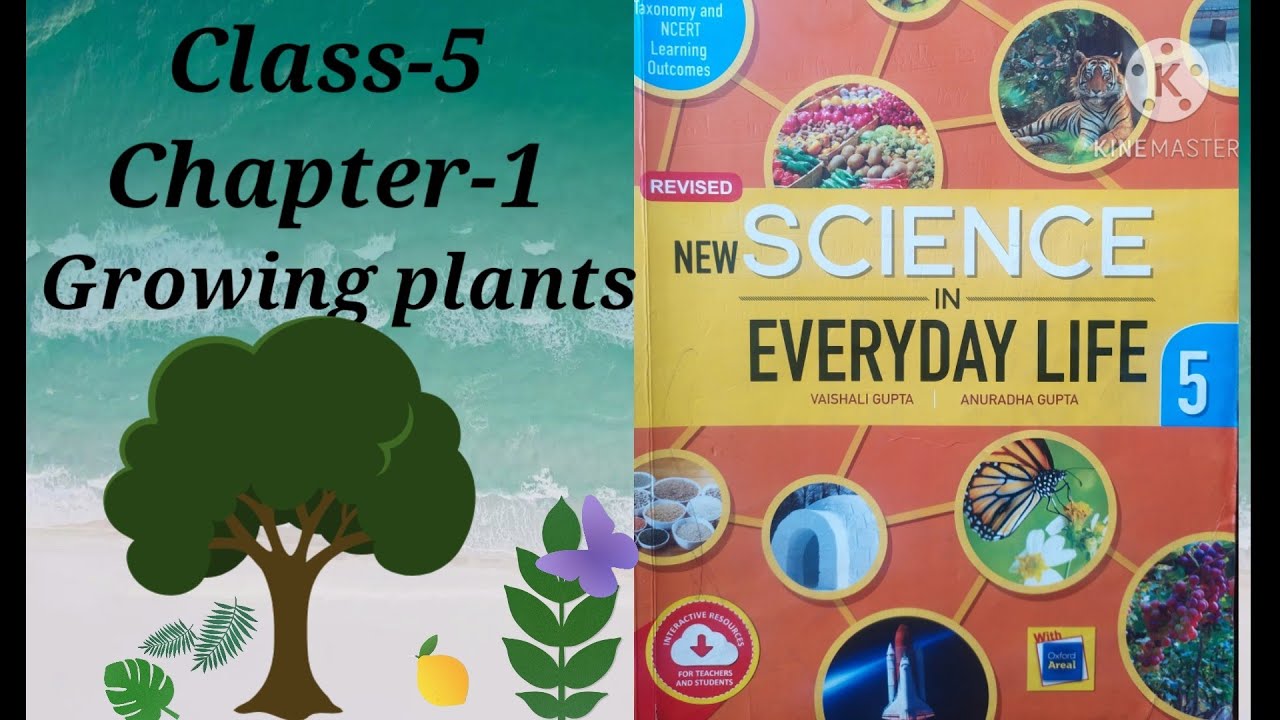 Science Class 5 Chapter 1 Growing Plant Part2 YouTube science-class-5-chapter-1-growing-plant-part2-youtube