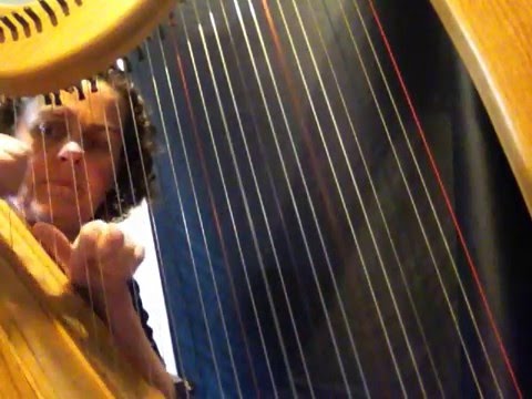 The Harp Hub - Duplet, Triplets and Quads for Beginner Harpists - YouTube