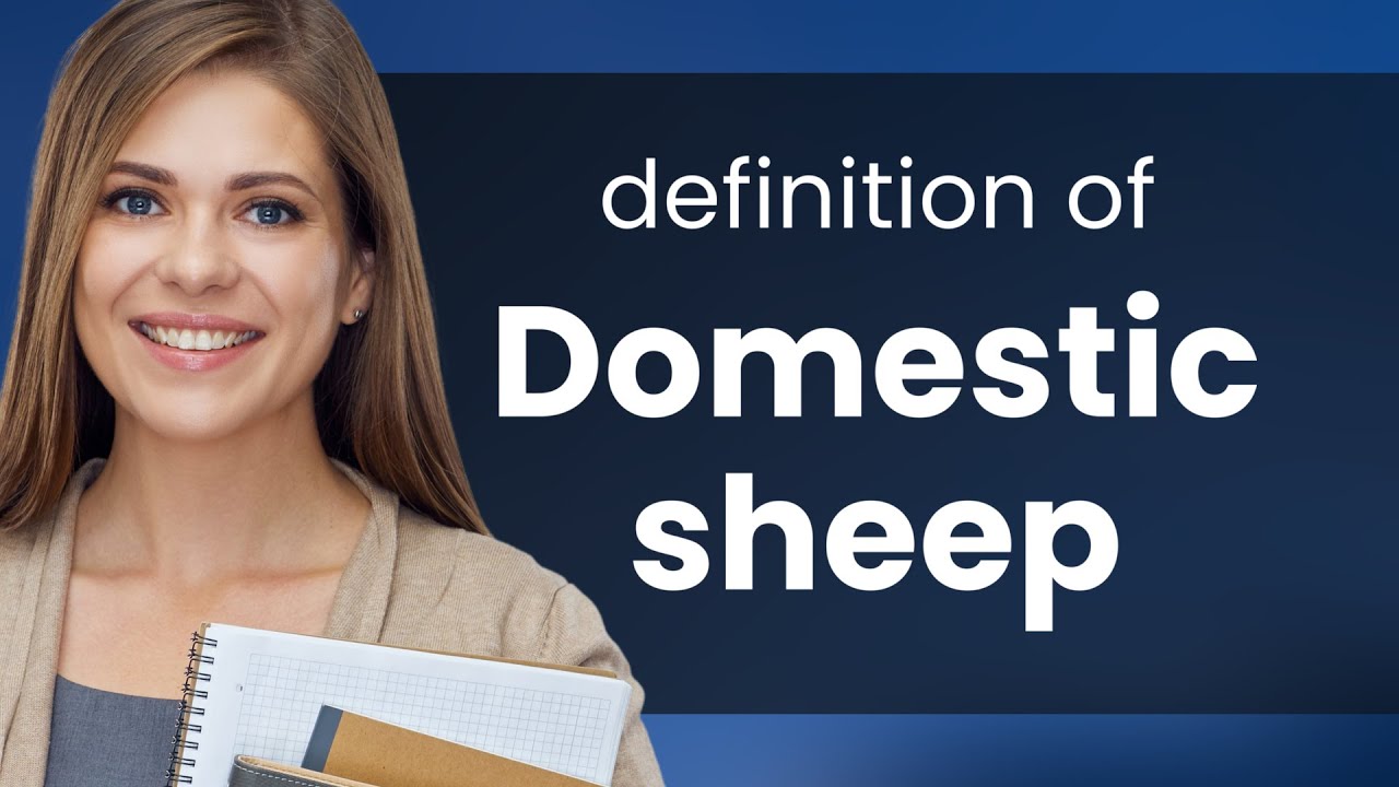Domestic sheep | DOMESTIC SHEEP definition - YouTube