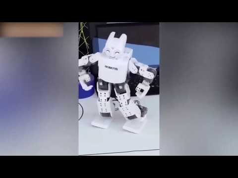 Gülme Krizine Sokan Robotlar | Aşırı Komik Robot Videoları #2
