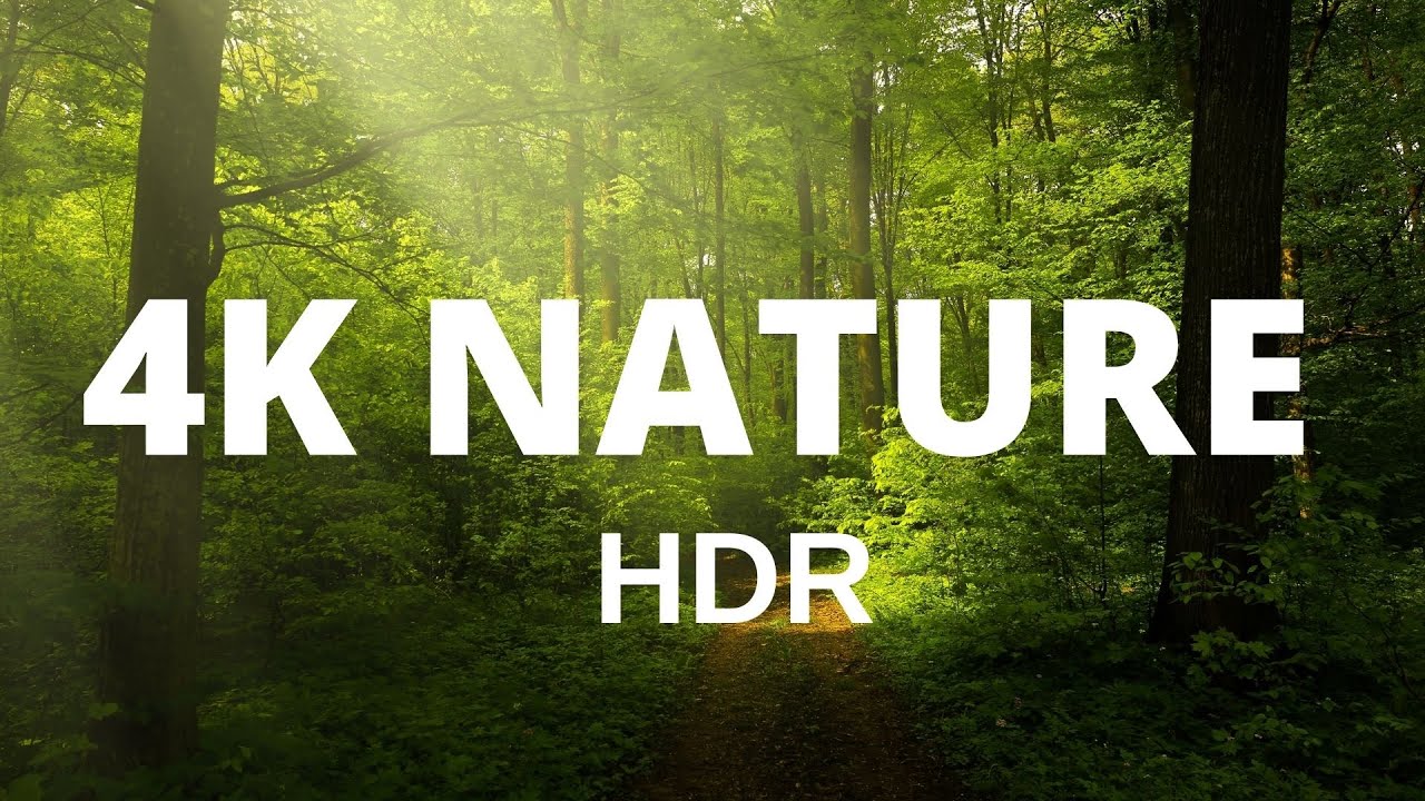 DEMO VIDEO 4K NATURE | 4K 60FPS HDR VIDEO - YouTube
