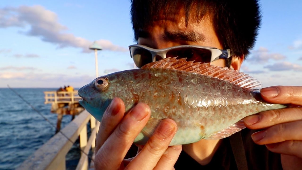 WORST Fishing Video Ever??? (Watch at your Own Discretion) - YouTube