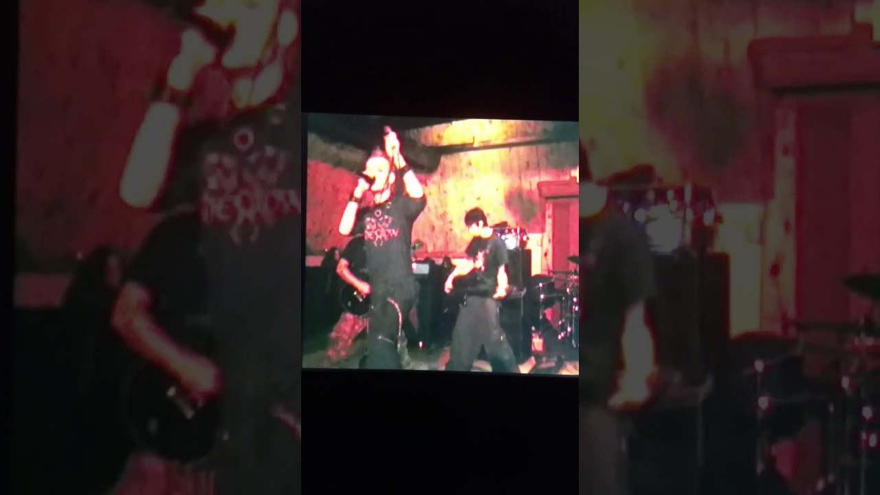 Nothing Is Sacred - covering Dry Kill Logic- Rot - YouTube