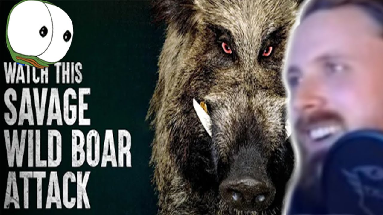 Forsen Reacts - How To Survive This Scary Wild Boar Attack - YouTube