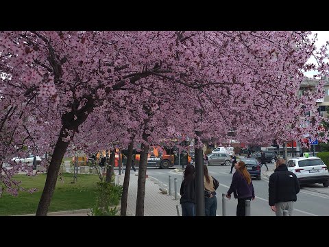 Prishtina/Kosovo March 2026  - Montage 