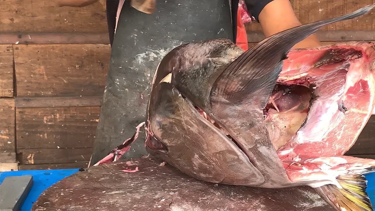 Awesome Skill - Ultra Faster Cutting Tuna Head Fish Vol.1 - YouTube