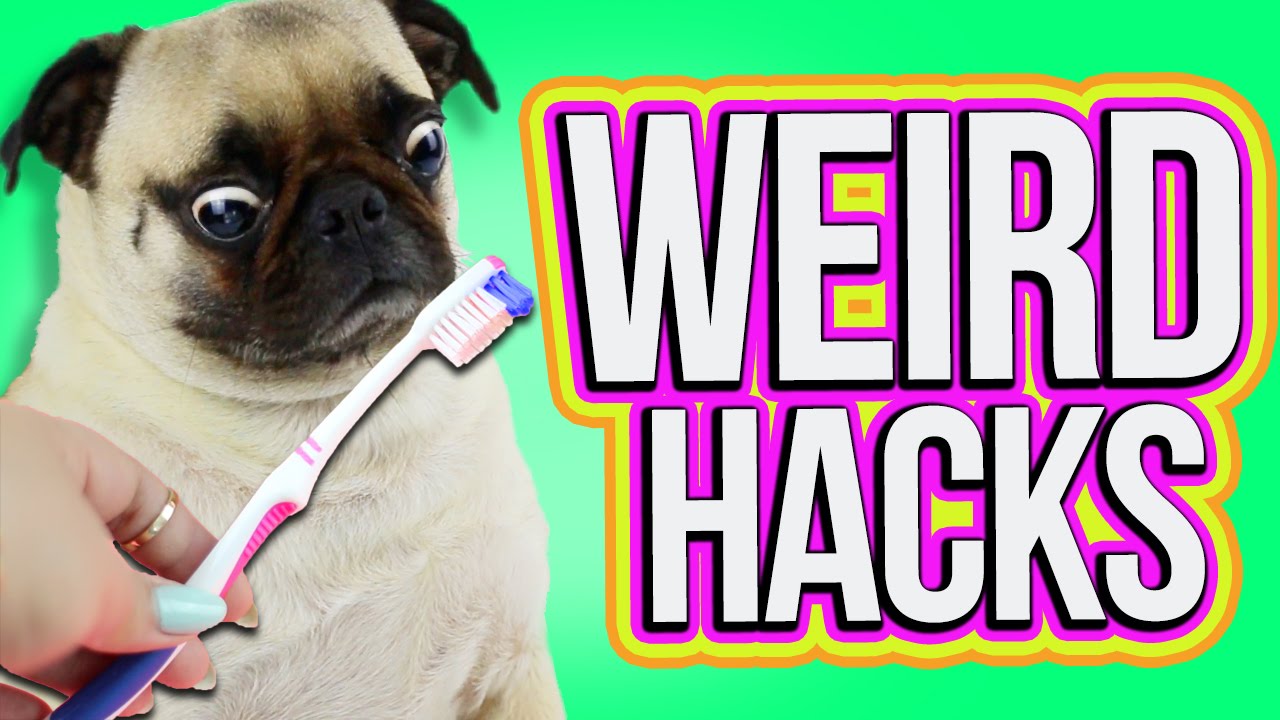 5 Life Hacks You Need To Know Youtube